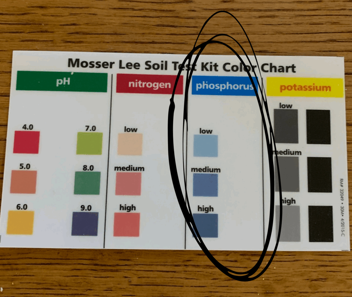 Step-by-Step Guide to Soil Testing with Full Video - The Homestead ...