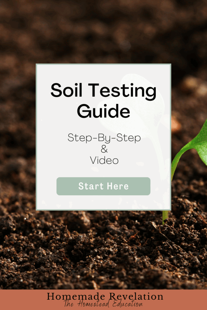 Step-by-Step Guide to Soil Testing with Full Video - The Homestead ...
