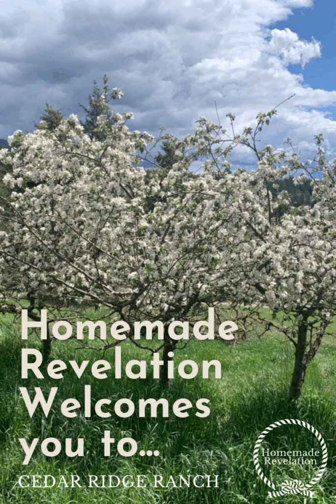 The Making of our Homestead - The Homestead Education