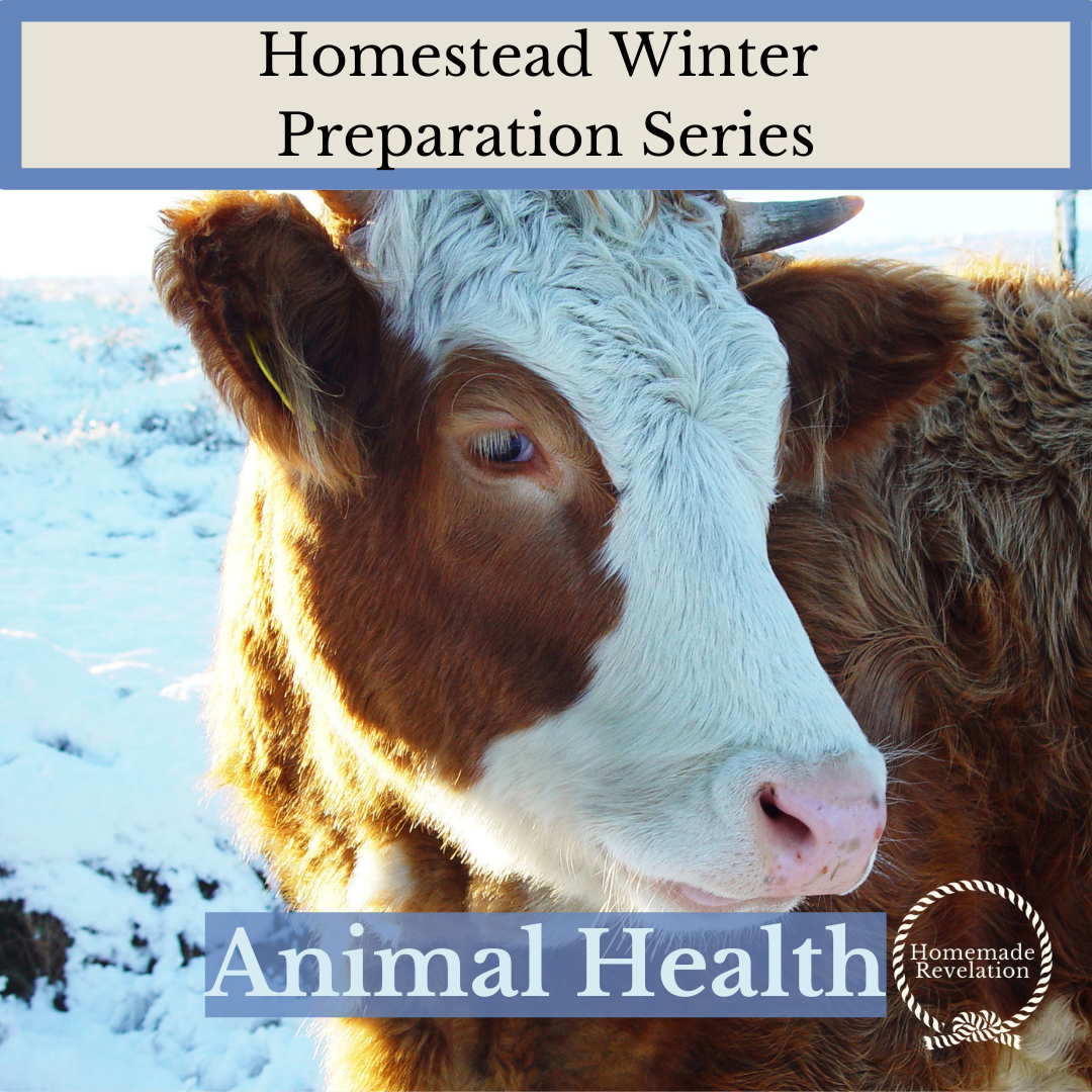 Winter Preparation - Animal Health - The Homestead Education