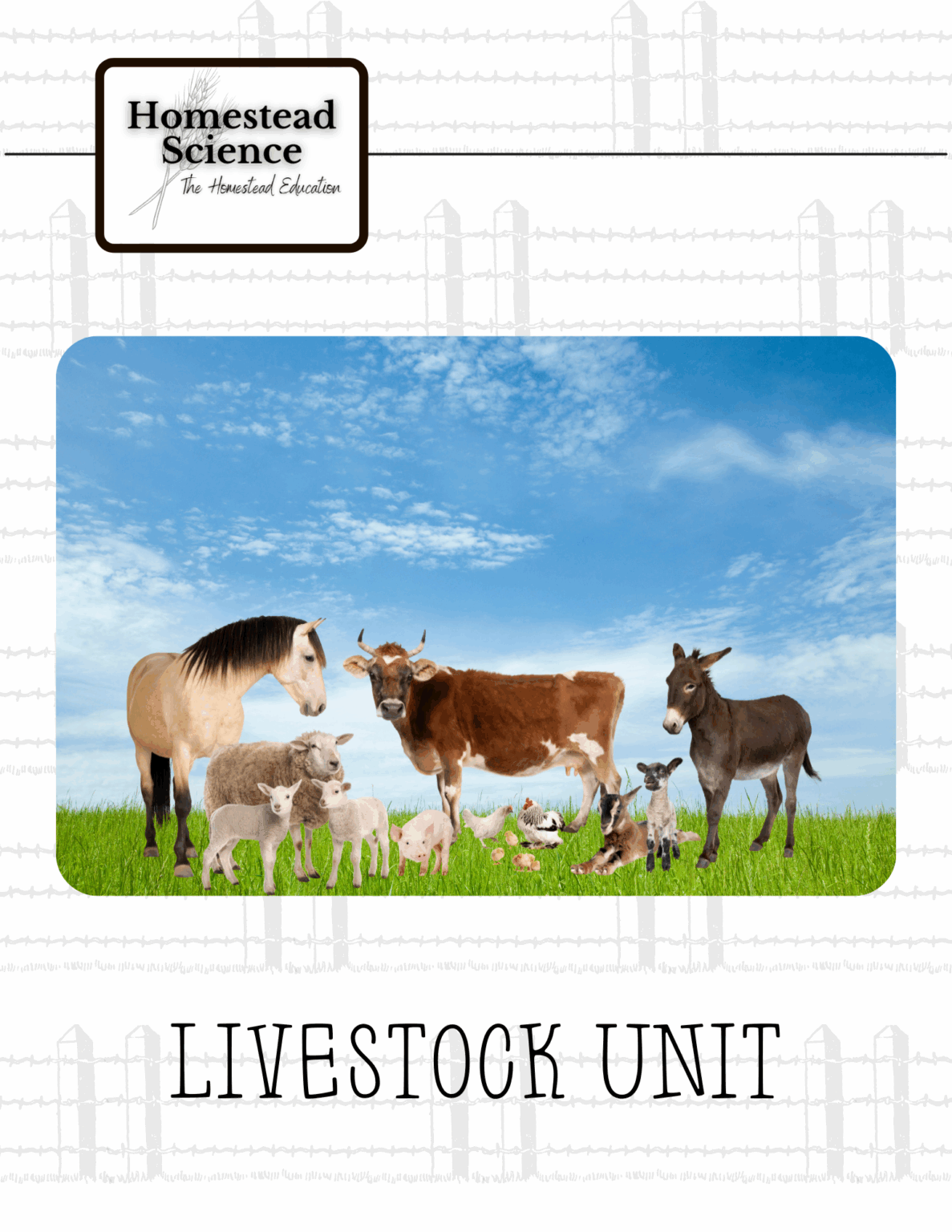Little Learner's Homestead Science Curriculum Kit - Homestead ...