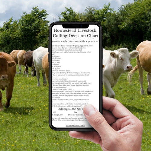 Livestock Culling Decision Chart | The Homestead Education