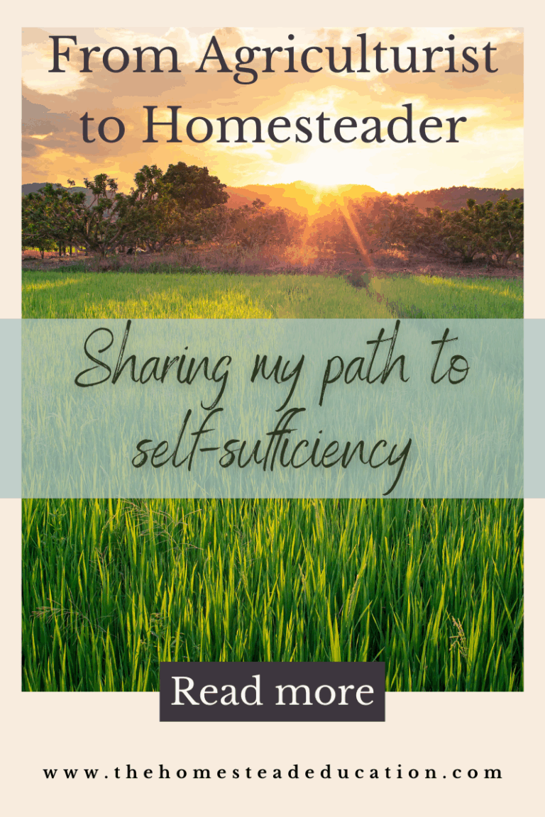 From Agriculturist to Homesteader - Sharing My Path to Self-Sufficiency ...