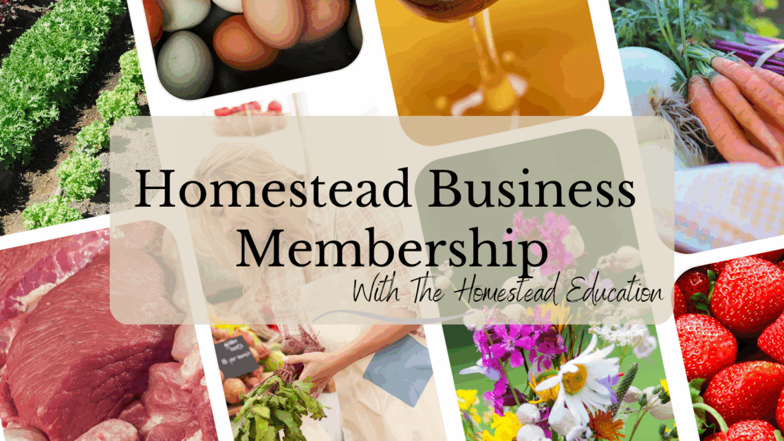 Homestead Business Ideas to Build a Self-Sufficient Homestead - The ...