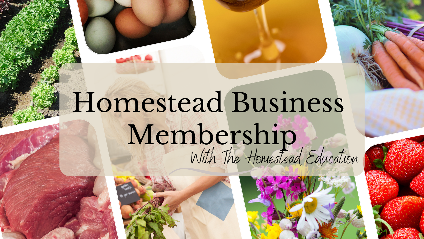 Homestead Business Ideas to Build a Self-Sufficient Homestead - The ...