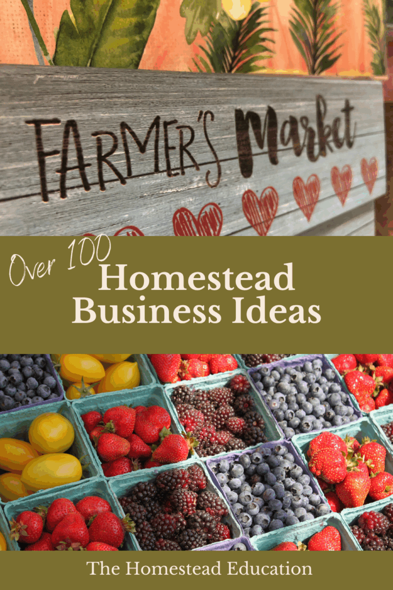 Homestead Business Ideas to Build a Self-Sufficient Homestead - The ...