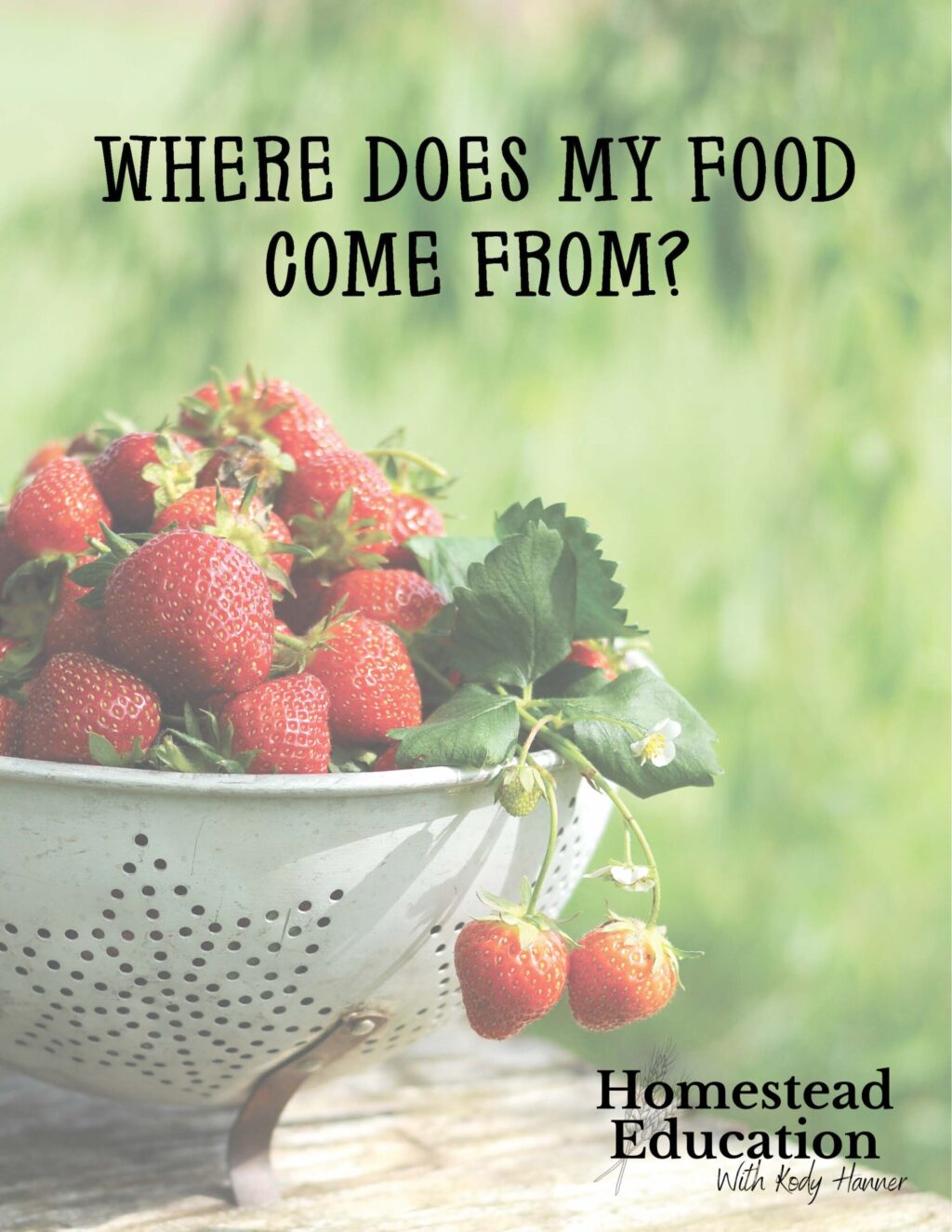 Homestead Homeschool - The Homestead Education