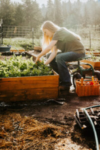 How To Have A Homestead AND A Life - The Homestead Education