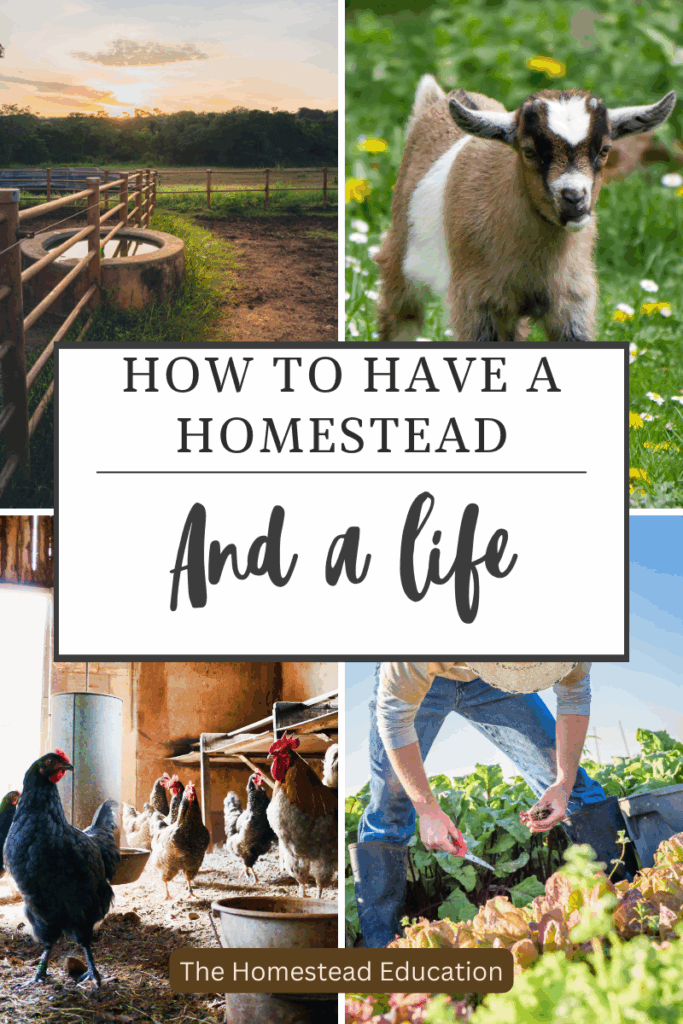 How To Have A Homestead AND A Life - The Homestead Education