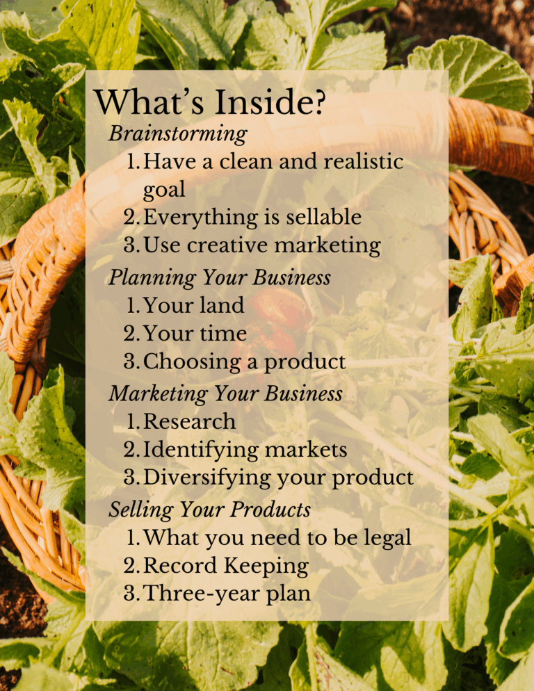 How to Start a Homestead Business Planning Guide - The Homestead Education