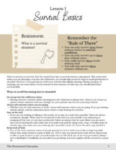 Survival Basics Mini Course - The Homestead Education