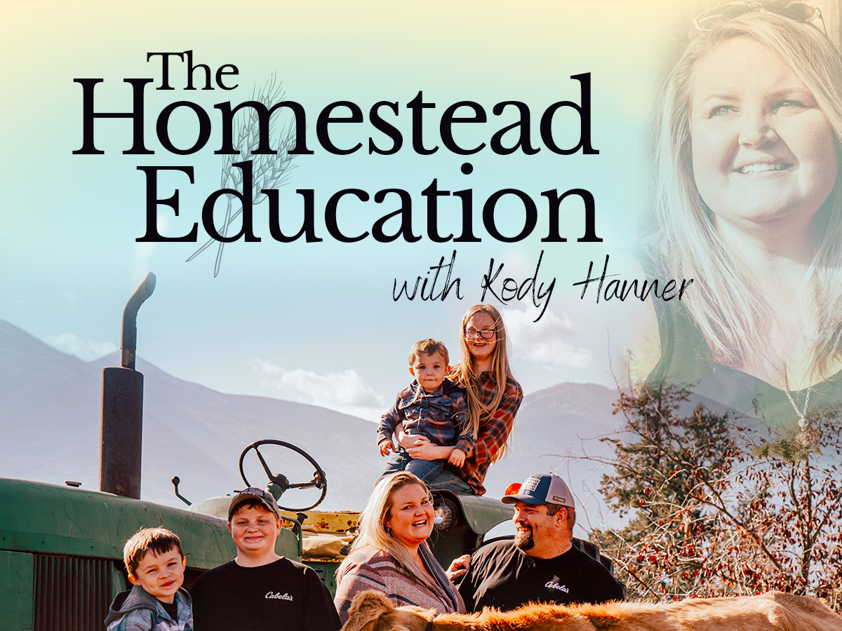 What to do With Your Homestead - Beginner to Experienced - The ...