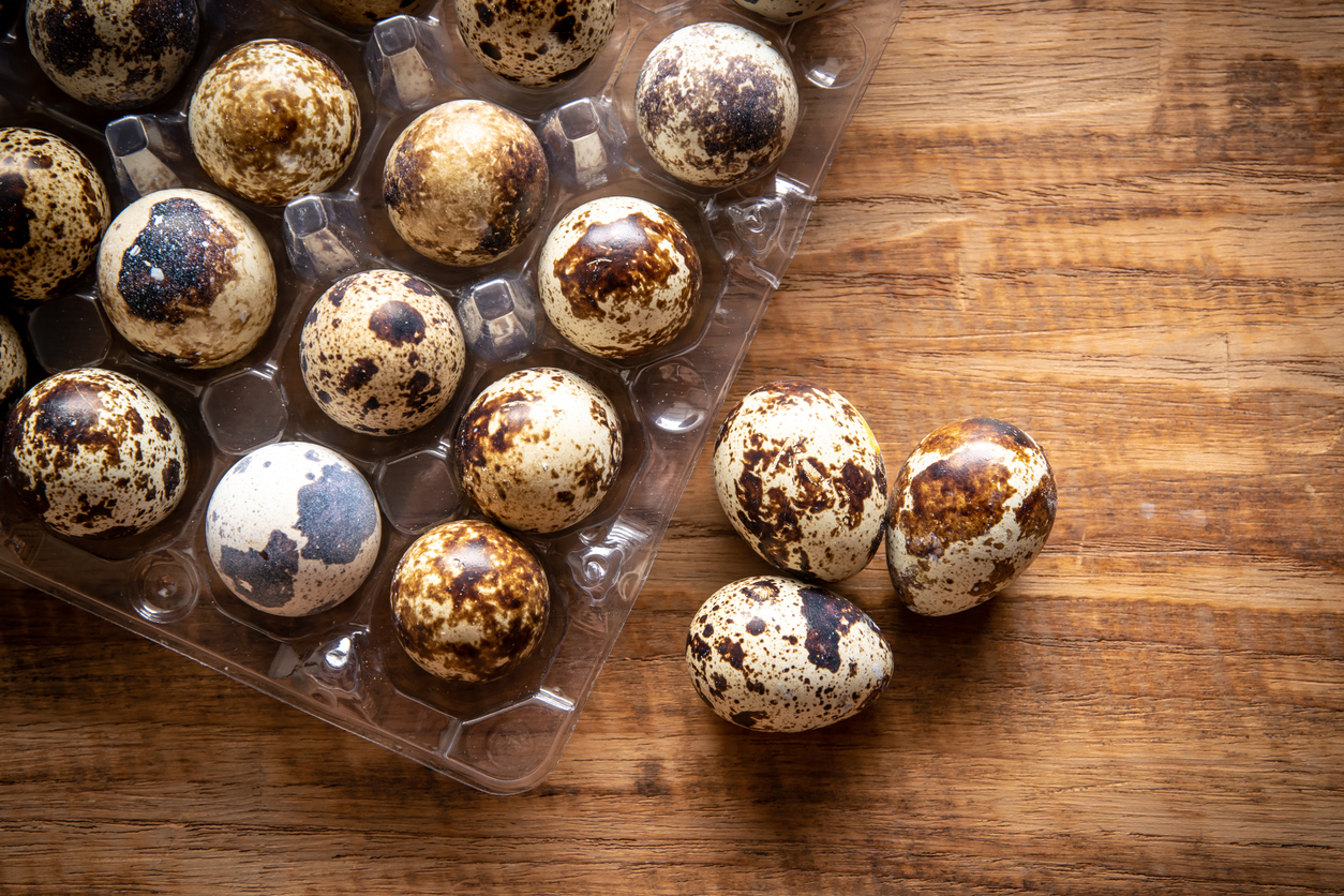 Types of Eggs and Quality of Eggs - The Homestead Education