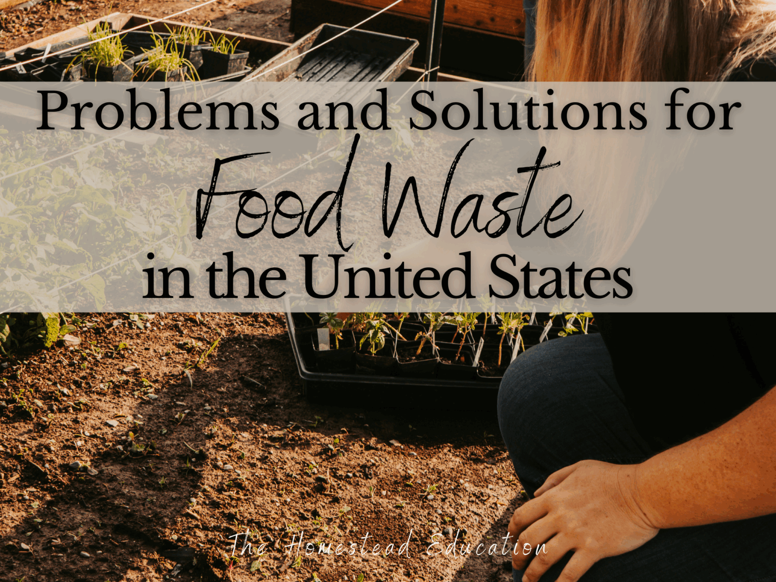 Problems and Solutions for Food Waste in the United States - The ...