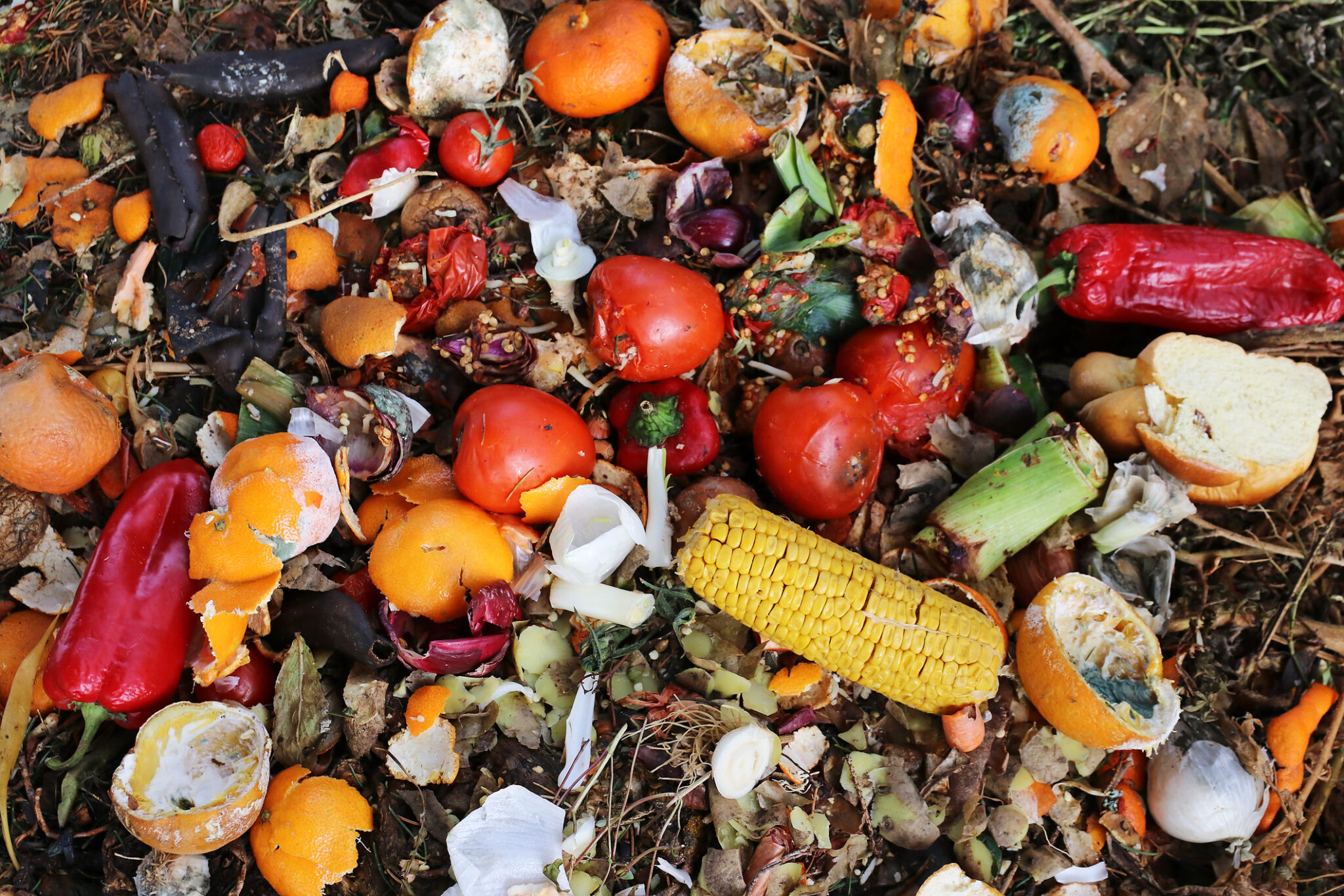 Problems and Solutions for Food Waste in the United States - The ...