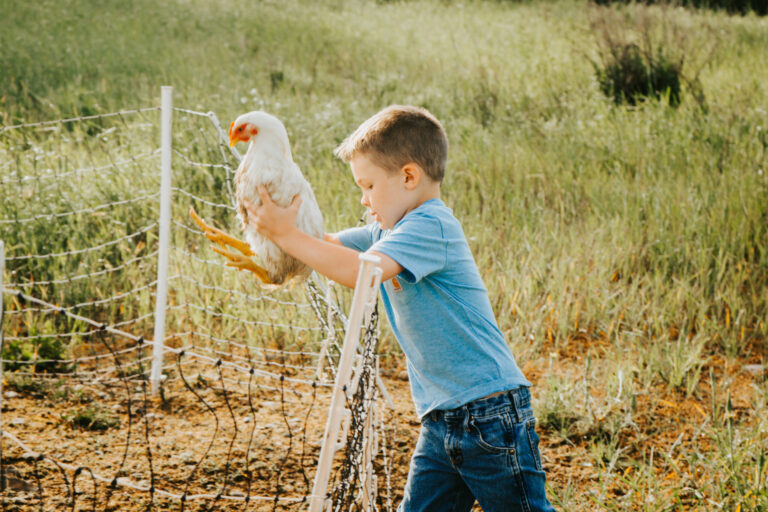 The Importance of Hands-On Homesteading Education: Nurturing Resilience ...