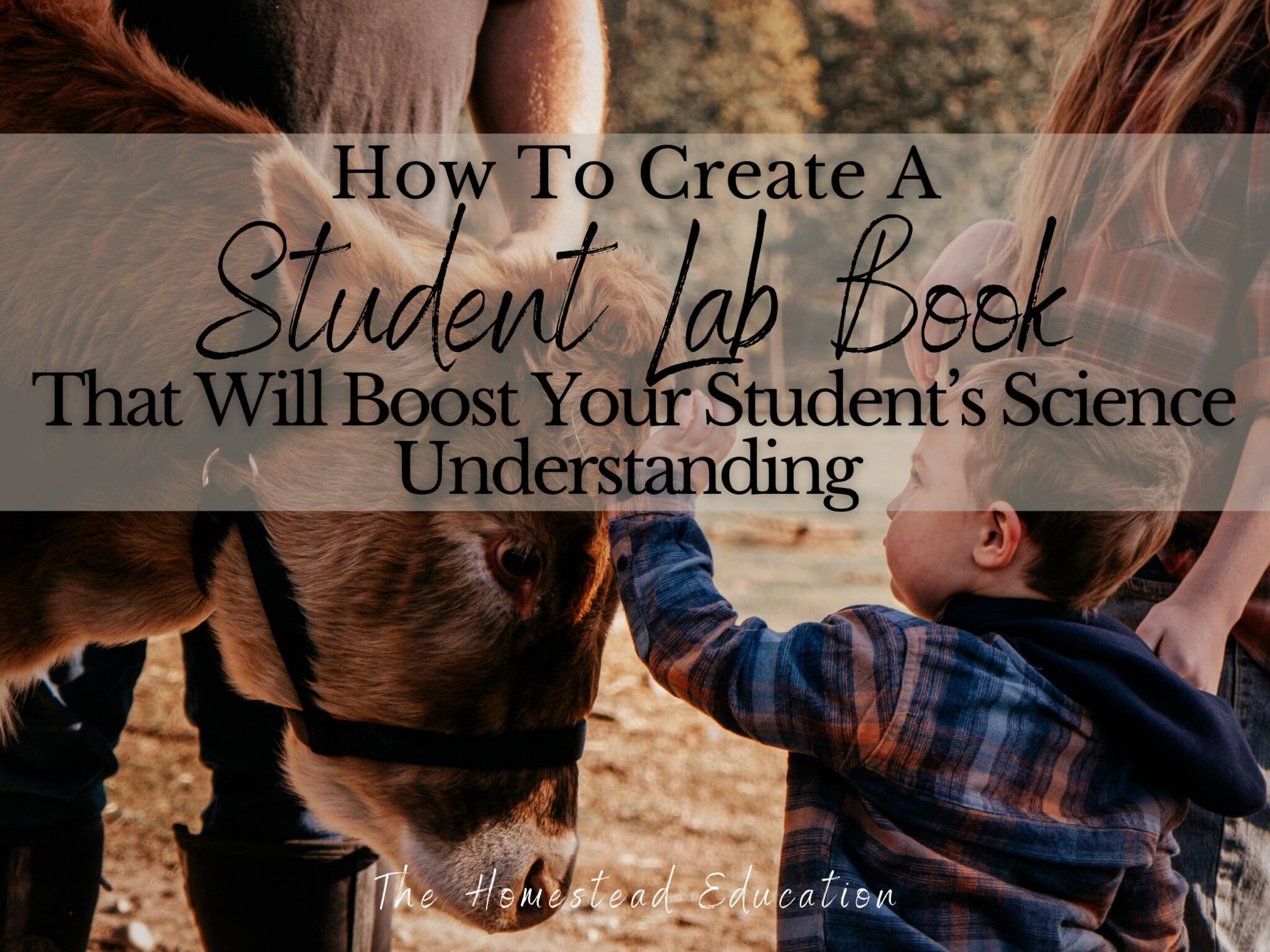 How To Create A Student Lab Book That Will Boost Your Student's Science ...