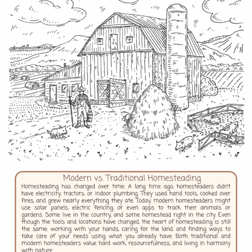 Seasons on the Homestead - Summer Activity Book - The Homestead Education