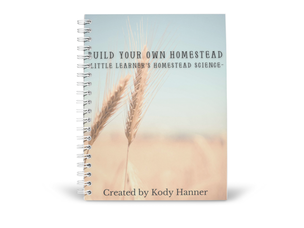 Homestead Curriculum & Courses | The Homestead Education