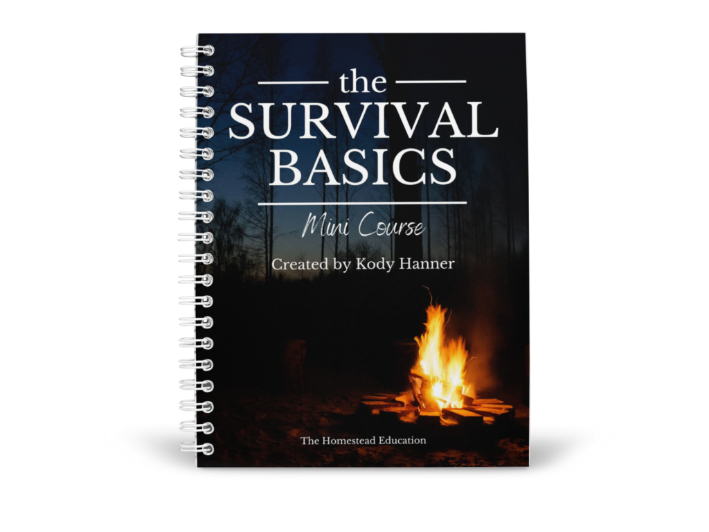 Homestead Curriculum & Courses | The Homestead Education